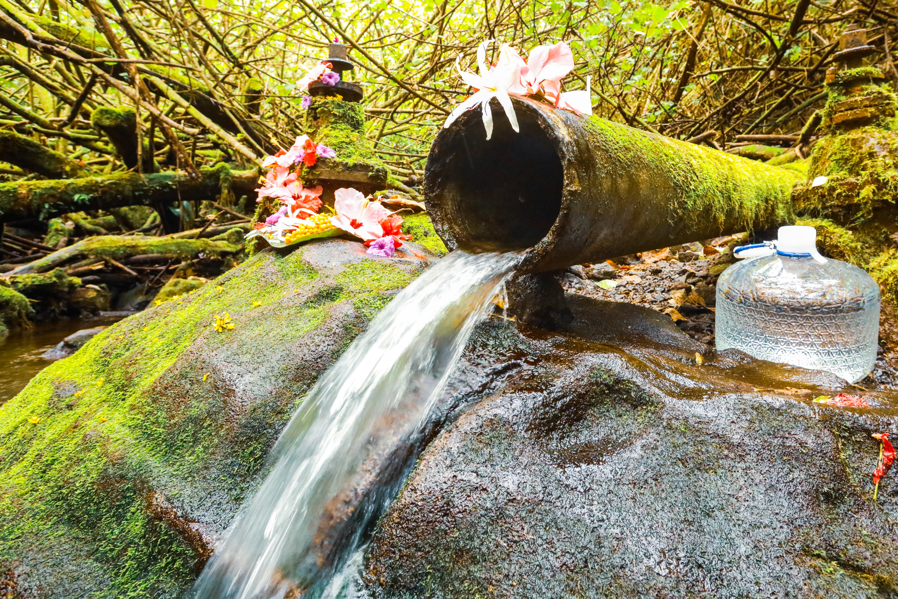 Find A Spring - Why Spring Water?