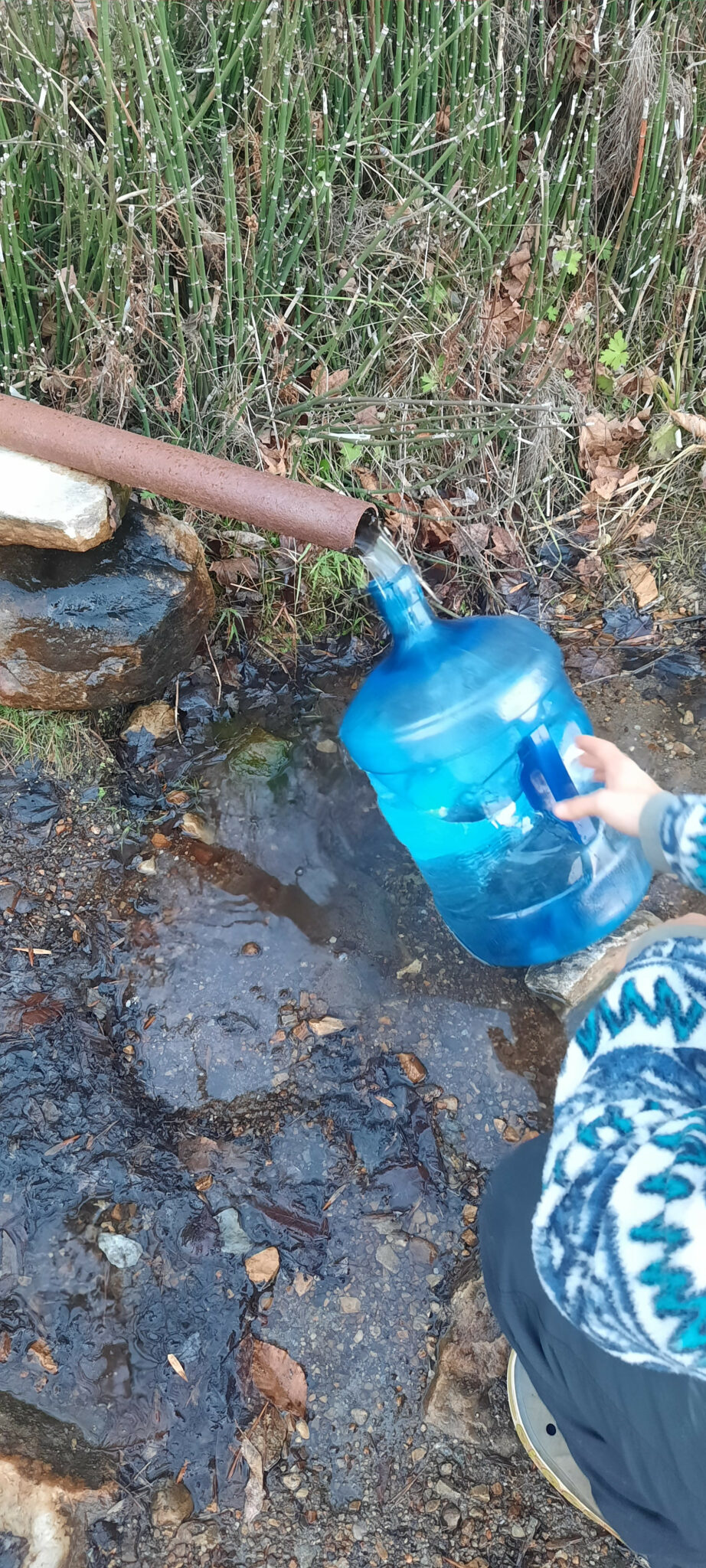 Find A Spring - How to Collect Spring Water