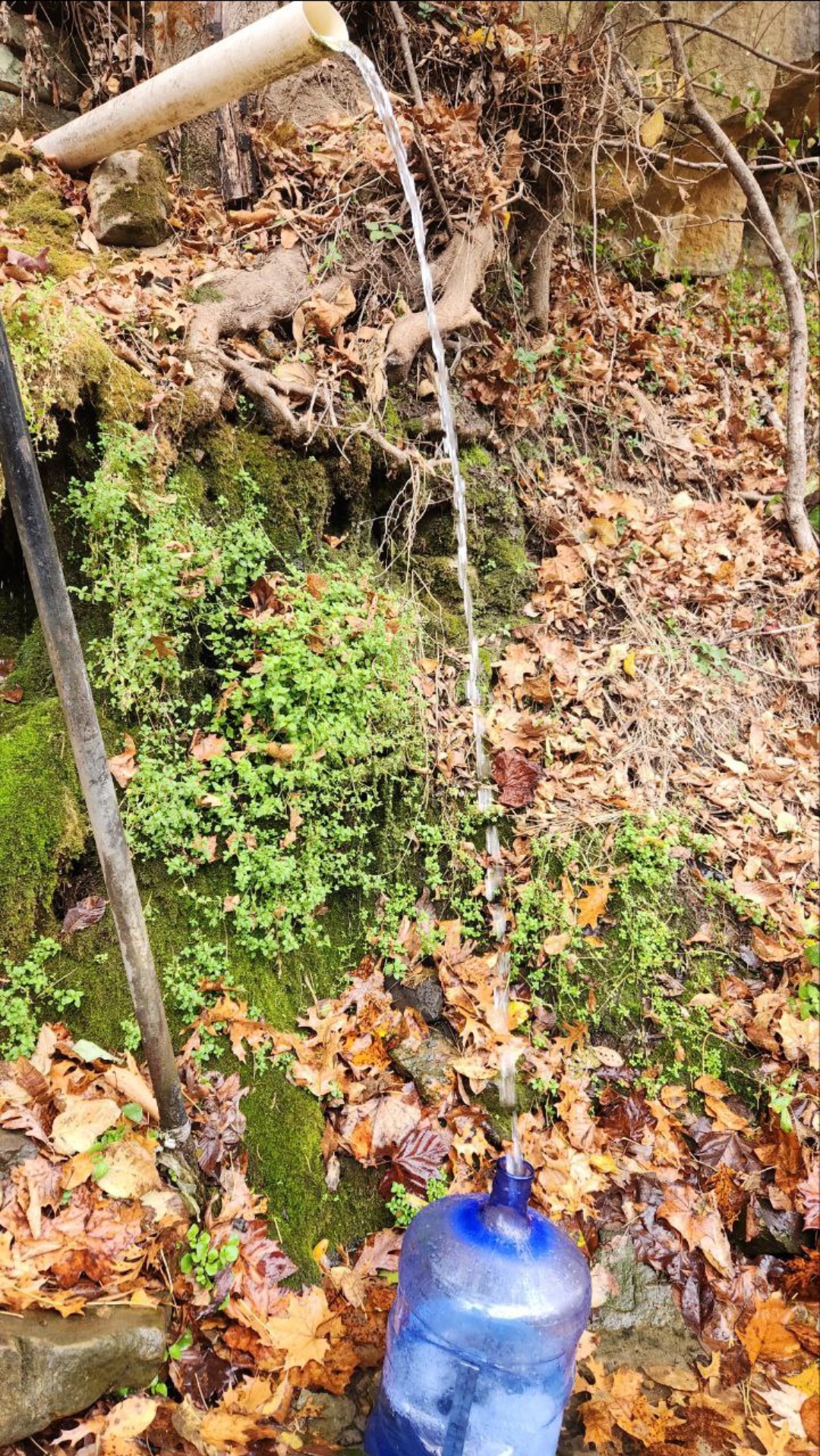 Spout Spring - Find A Spring