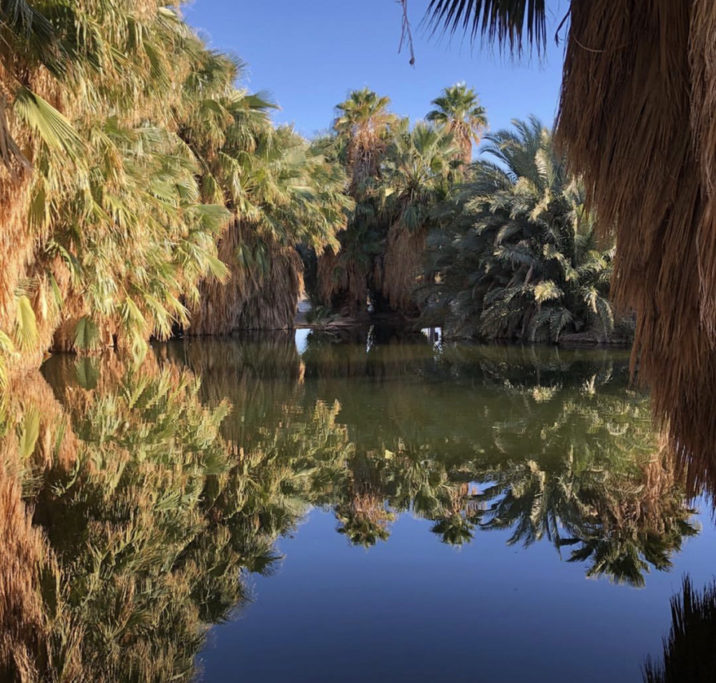 Holtville Hot Springs - Find A Spring