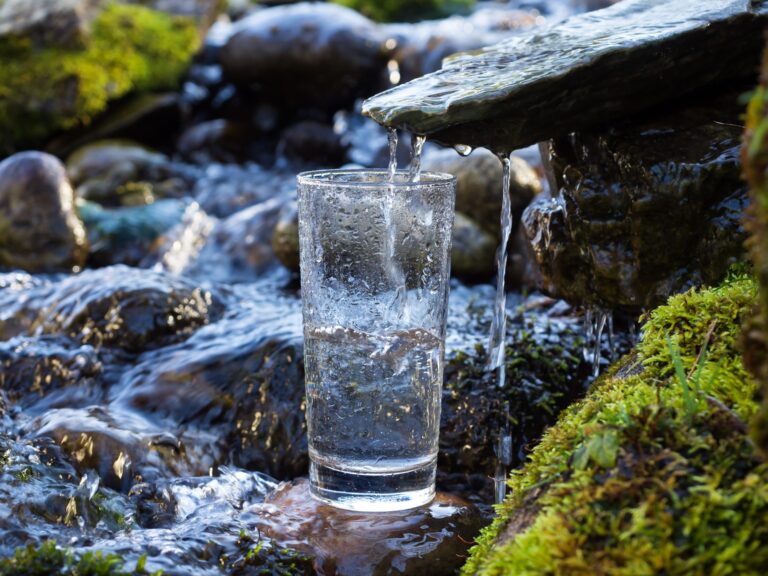 Find A Spring - Tackling the Bottled Water Crisis: Understanding the ...