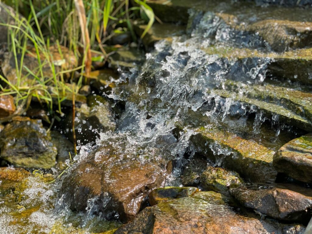 Find A Spring - Spring Water Myths and Misconceptions: What’s True and ...