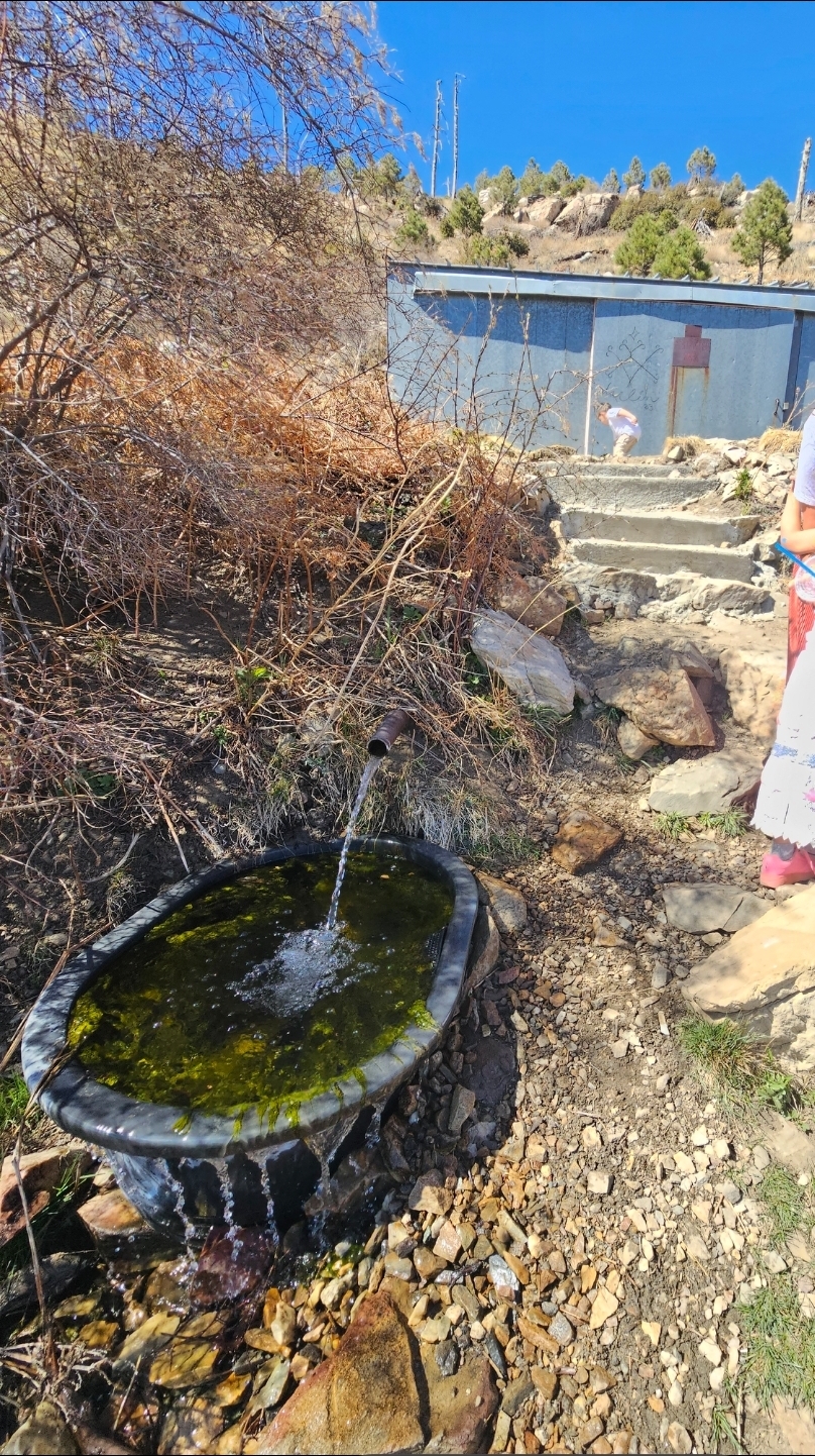 Mt Lemmon Observatory Area Spring - Find A Spring