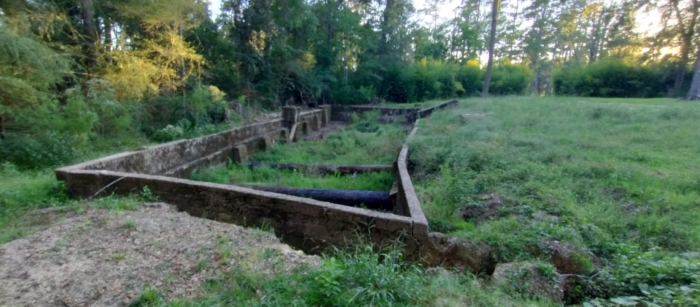 Greenwell Springs Historic Site - Find A Spring